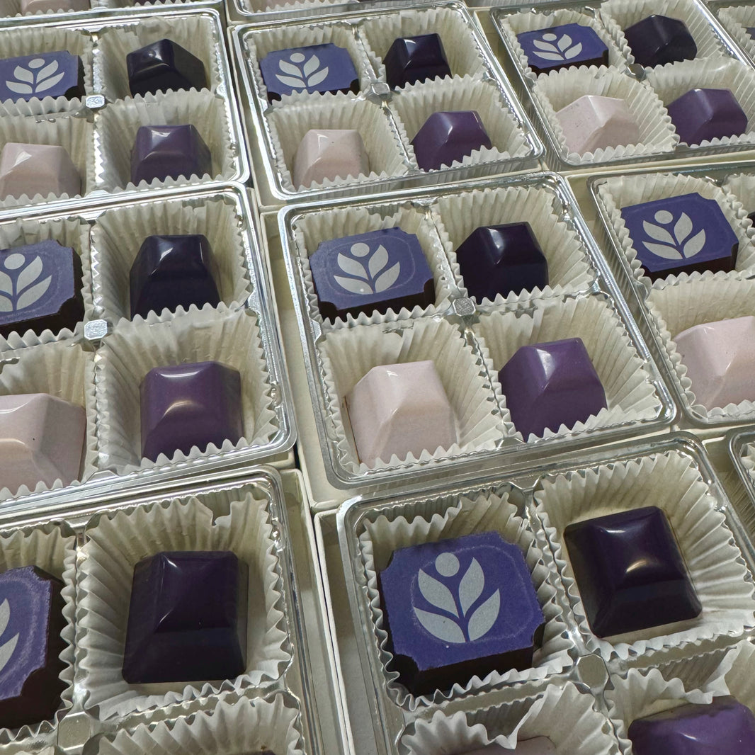 Box Assortments – Jardi Chocolates